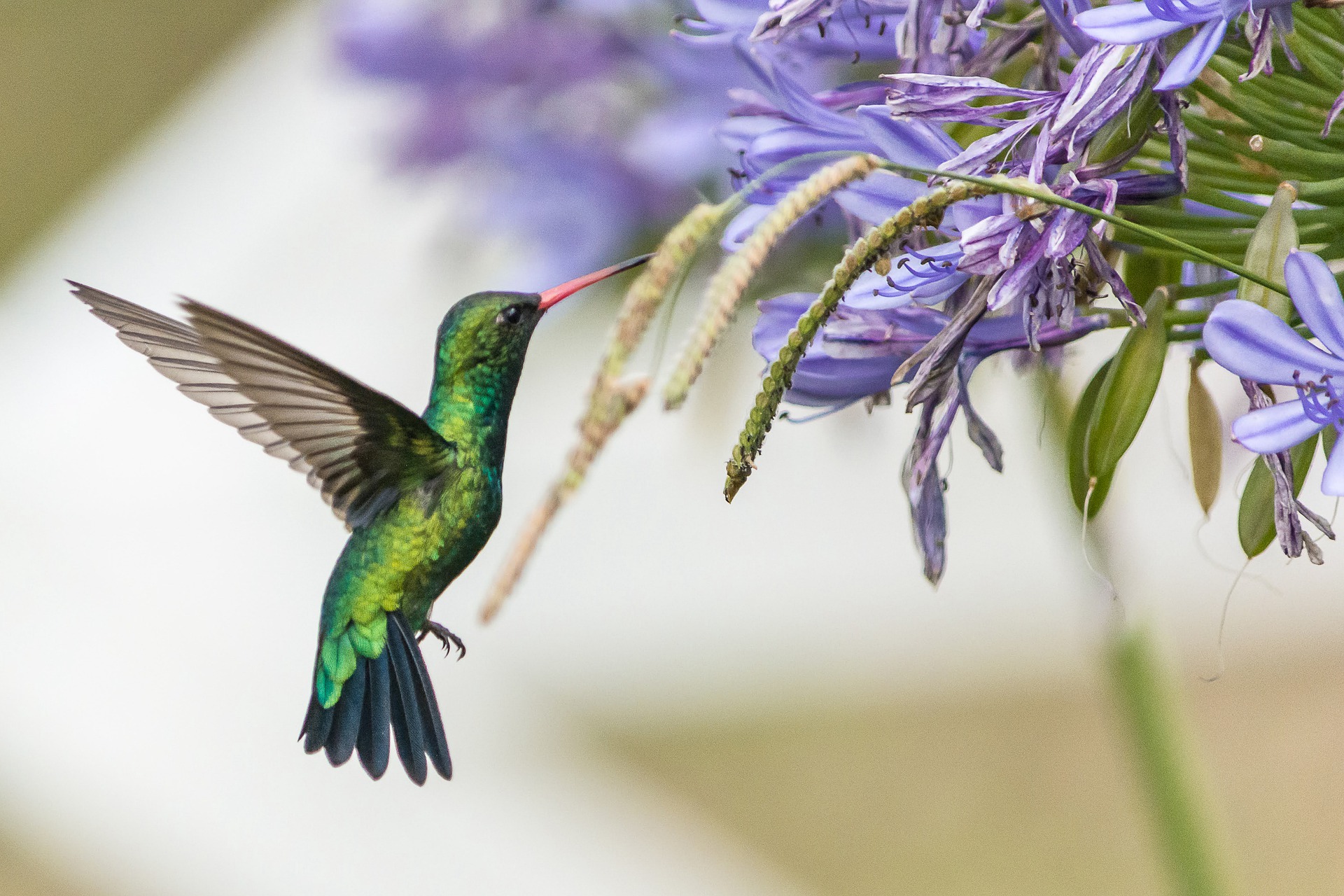 4 Spring Activities Near Salem, VA – Hart Motors GMC Blog